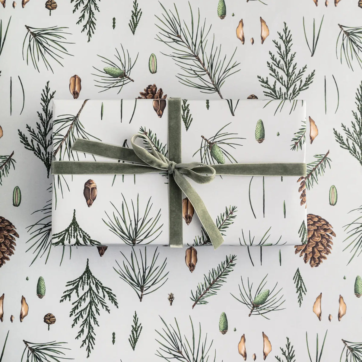 White Pine Wrapping Paper – Aglow